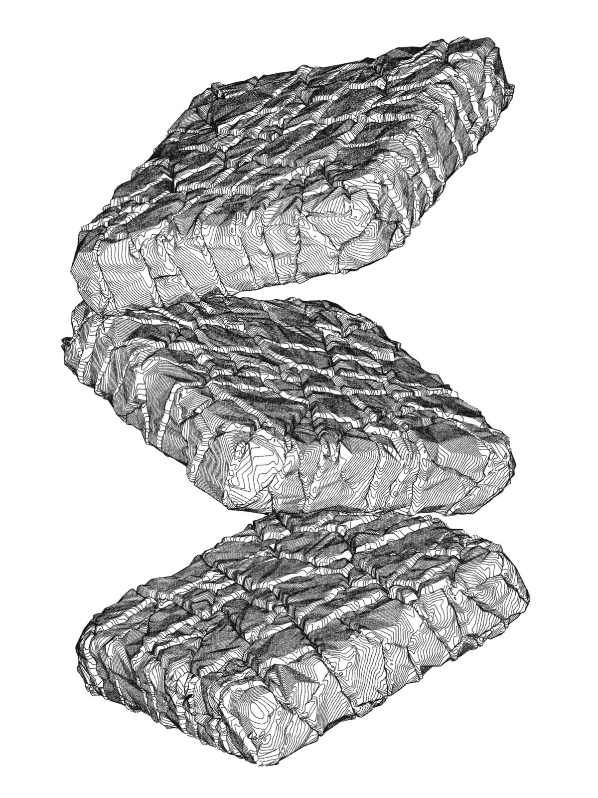 NATURE/CODE/DRAWING プログラミングから生まれた「木」の芸術 - KIDZUKI