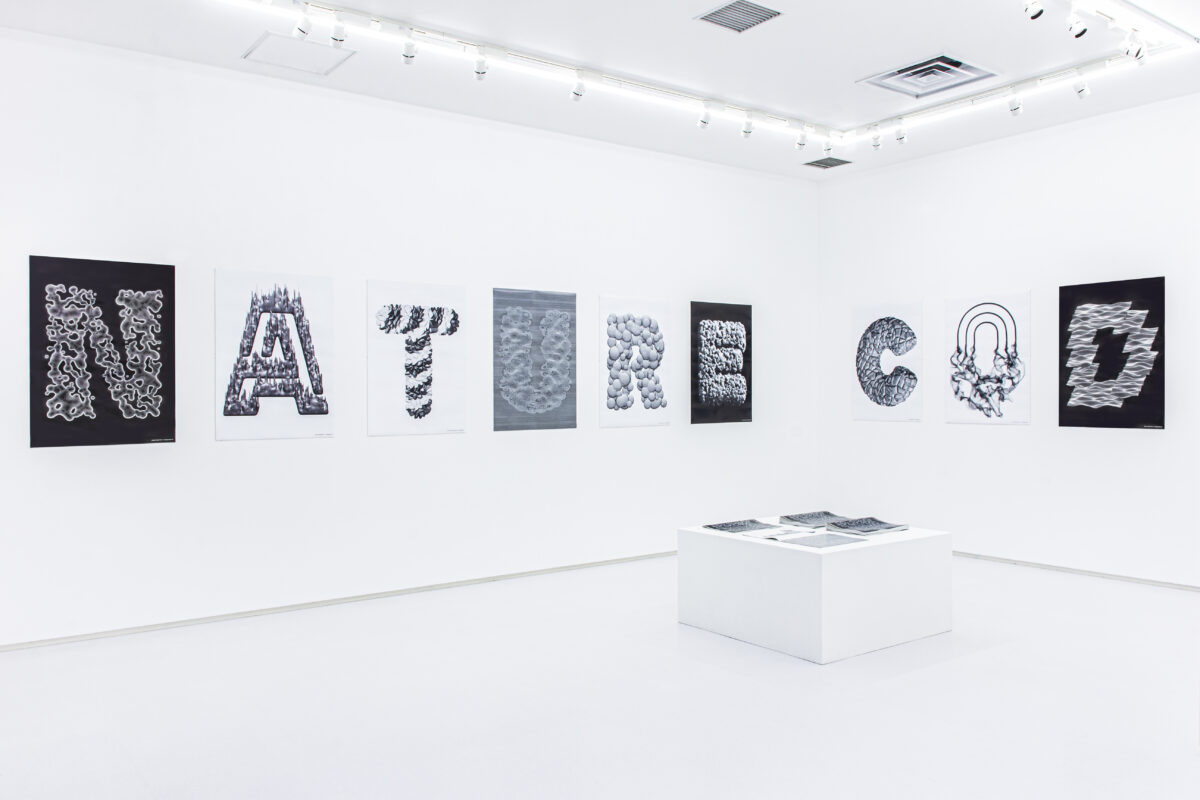 NATURE/CODE/DRAWING プログラミングから生まれた「木」の芸術 - KIDZUKI