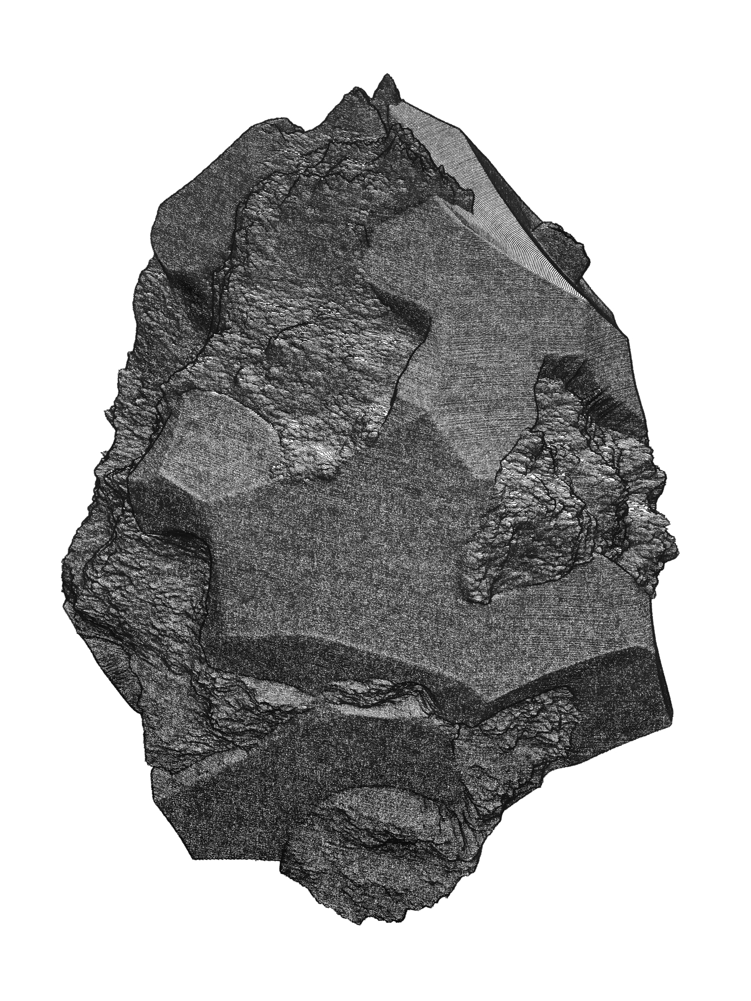 NATURE/CODE/DRAWING プログラミングから生まれた「木」の芸術 - KIDZUKI