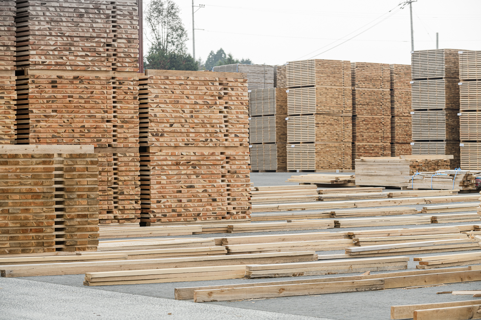 MEC Industry現代の暮らしを創る”総合林業事業会社” - KIDZUKI