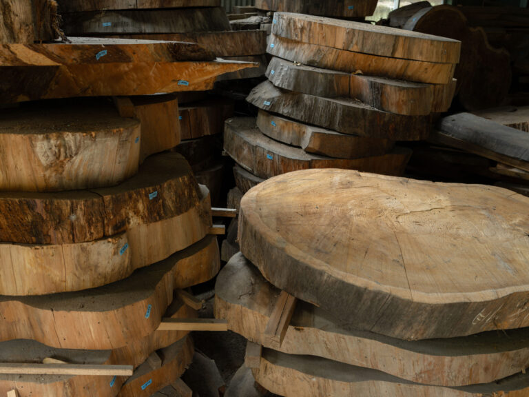 高知県馬路村からはじまる「魚梁瀬杉」プロジェクト - KIDZUKI