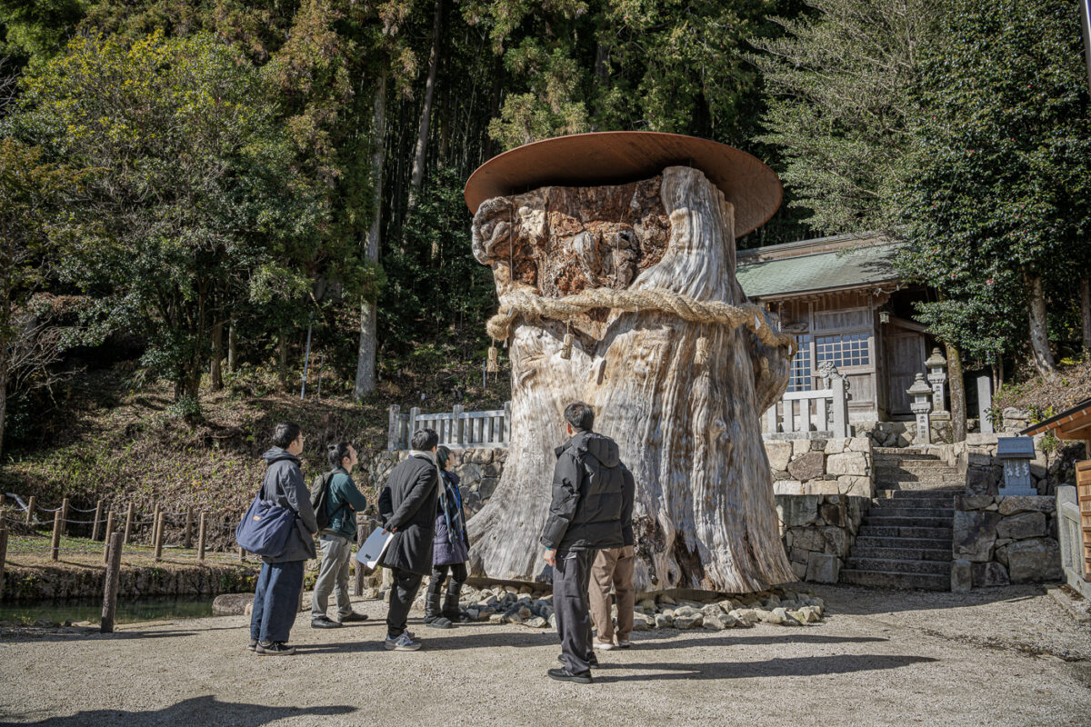 チーム ティンバライズが目指す多様な木造建築の街並み - KIDZUKI