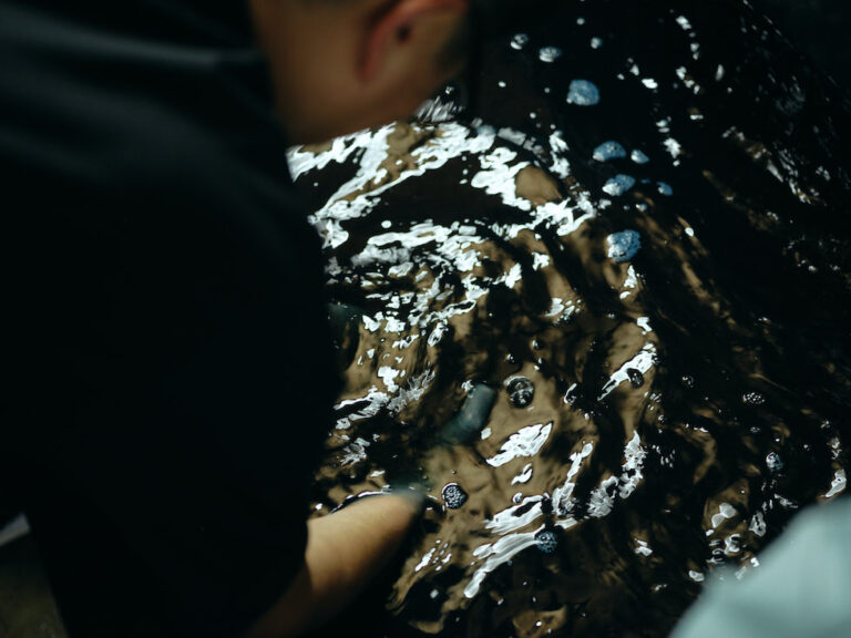 連載『トラフと森へ』第3回 藍色に木を染める〈BUAISOU〉 - KIDZUKI